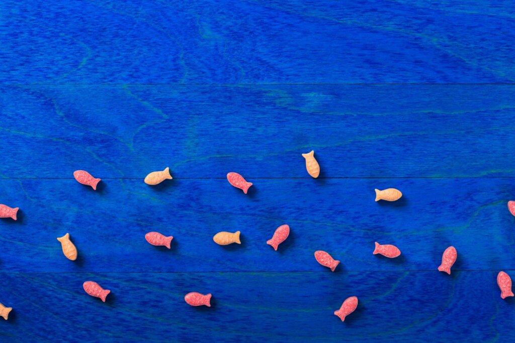 The Power of Omega-3 Fats for ADHD Management - REEKOOZ